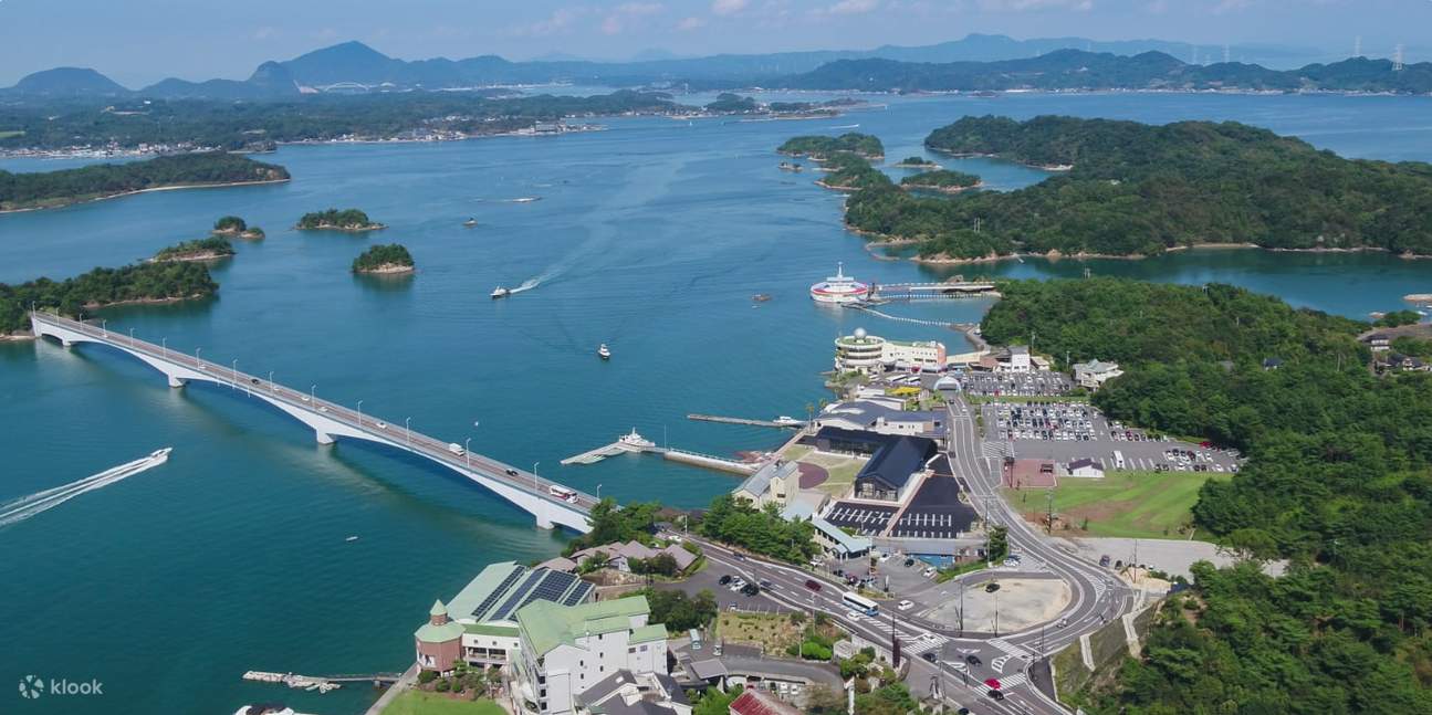 [Depart from Kumamoto] Amakusa Wild Dolphin Watching and Juicy Burger ...